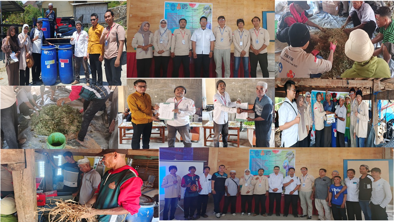 Tim PKM UTS: Ubah Limbah Jerami Jadi Pakan Berkualitas, Dongkrak ...